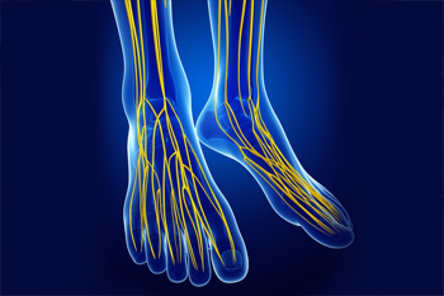 What Causes Nerve Damage In The Feet What Causes Nerve Damage In The Feet